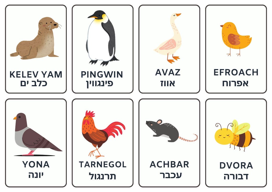 42 Animals in Hebrew Printable Flash Cards - Etsy