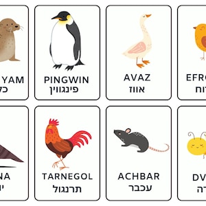 42 Animals in Hebrew Printable Flash Cards - Etsy