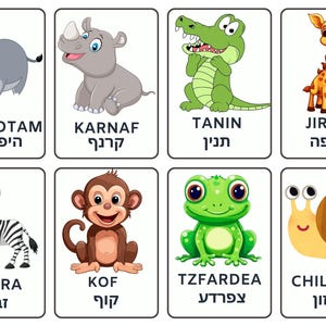 42 Animals in Hebrew Printable Flash Cards - Etsy