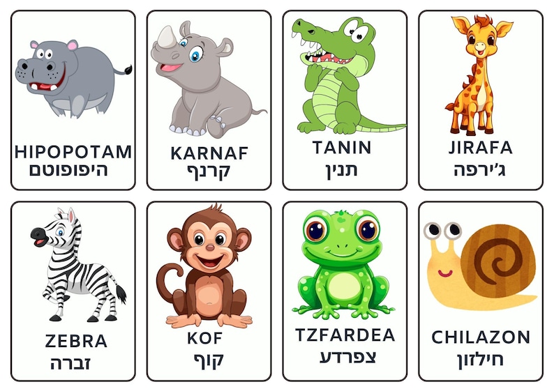 42 Animals in Hebrew Printable Flash Cards - Etsy