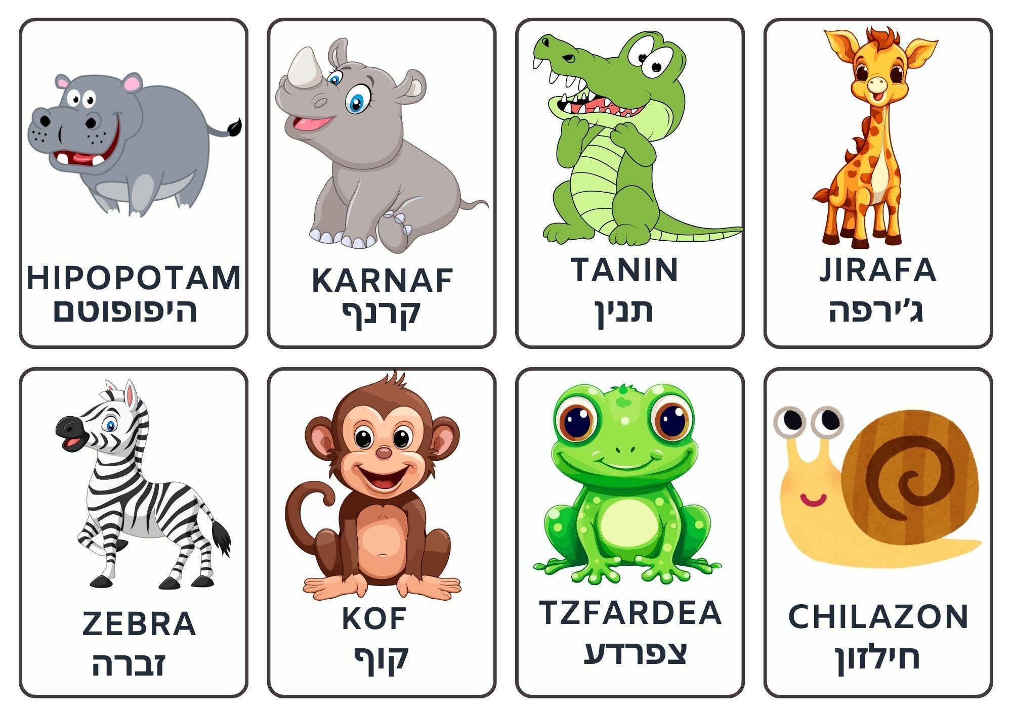 42 Animals in Hebrew Printable Flash Cards - Etsy