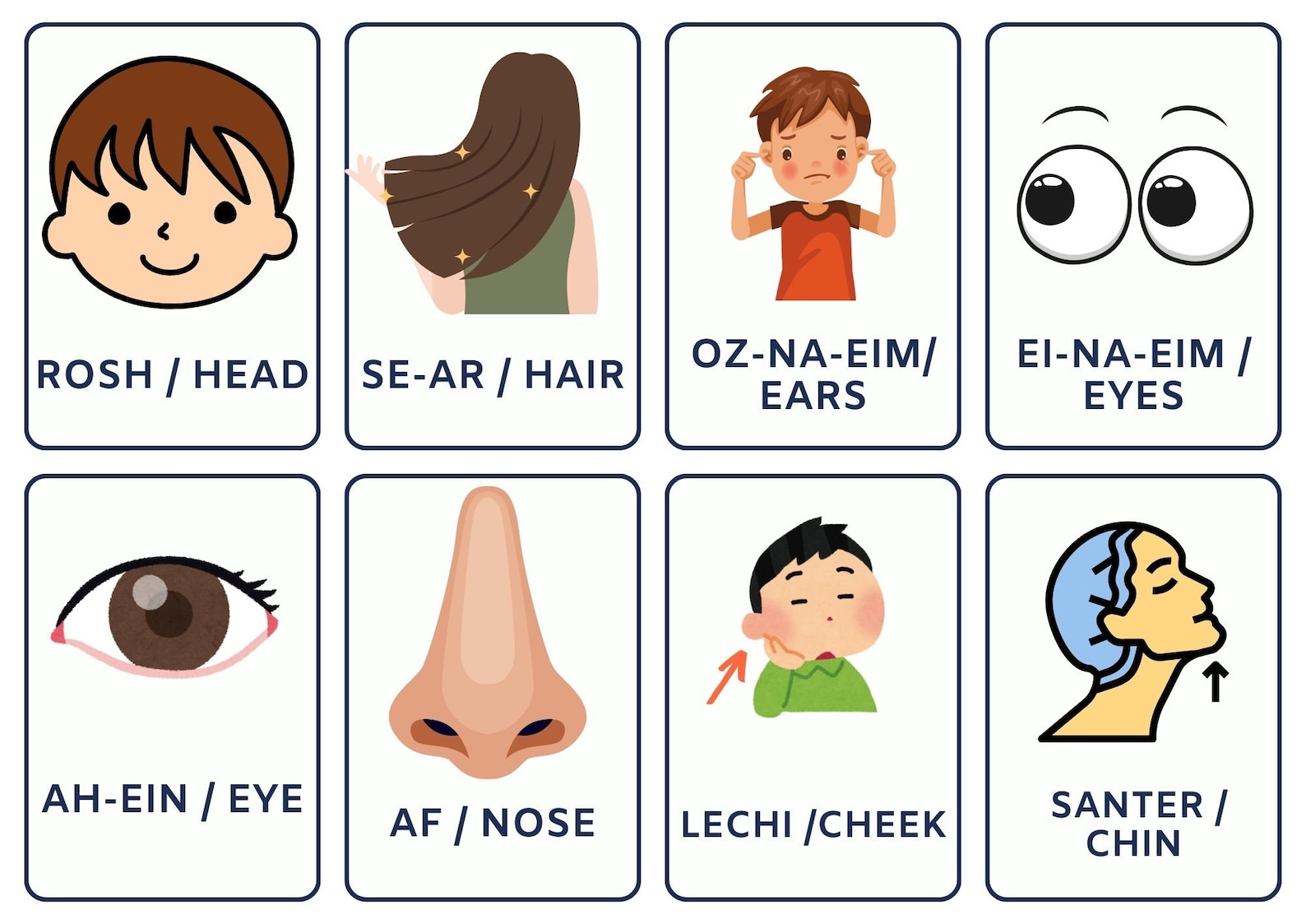 Body Parts in Hebrew Printable Flash Cards - Etsy