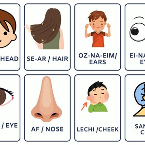 Body Parts in Hebrew Printable Flash Cards - Etsy