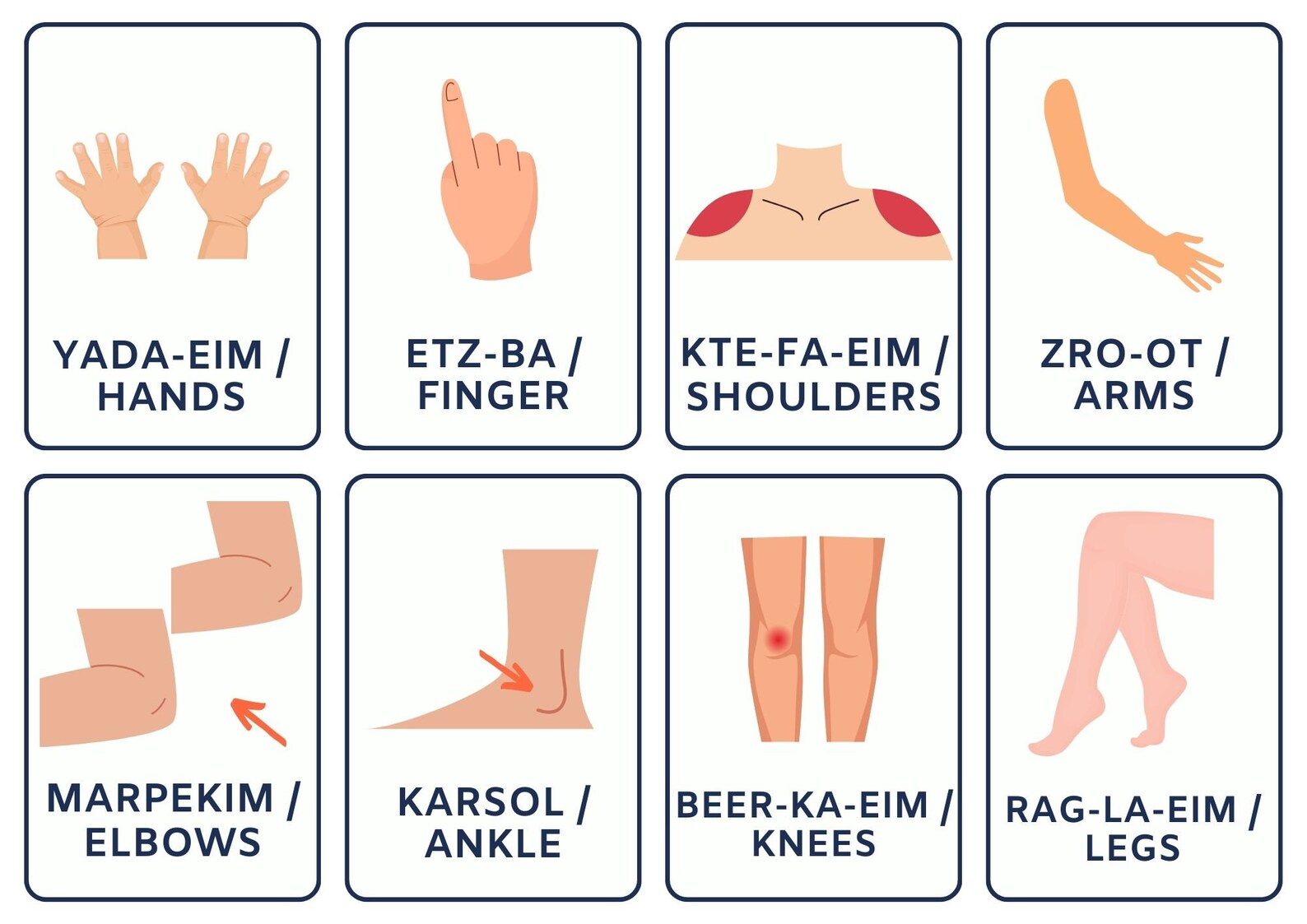 Body Parts in Hebrew Printable Flash Cards - Etsy