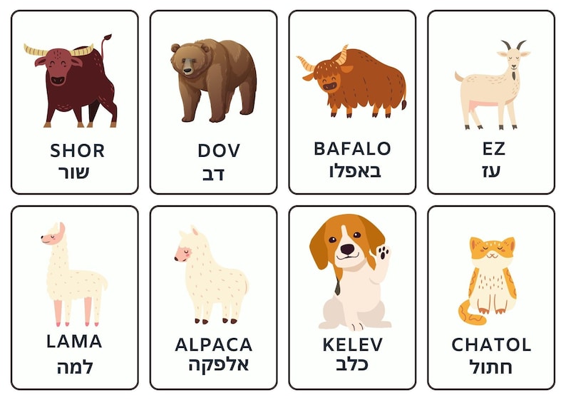 42 Animals in Hebrew Printable Flash Cards - Etsy
