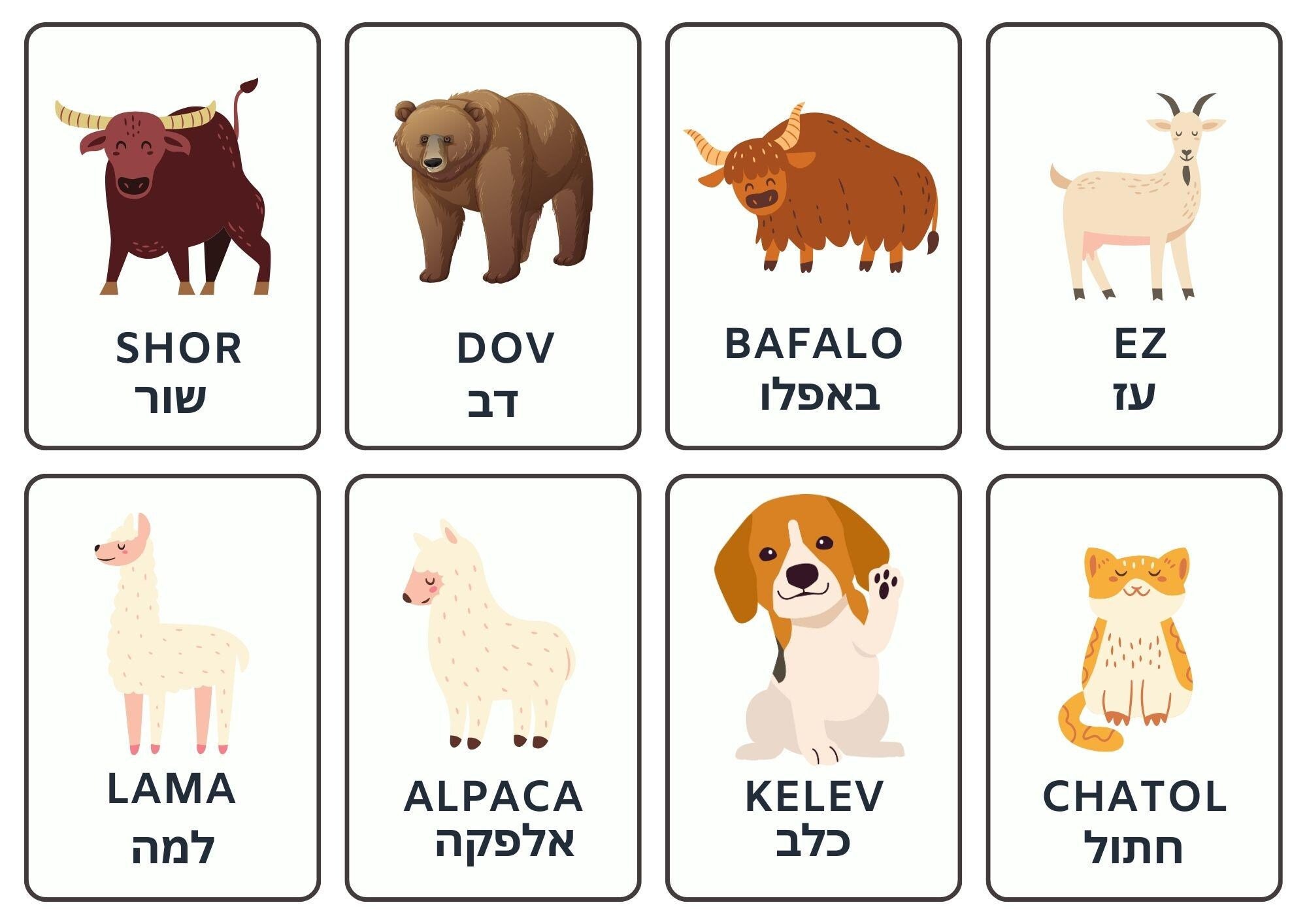 42 Animals in Hebrew Printable Flash Cards - Etsy