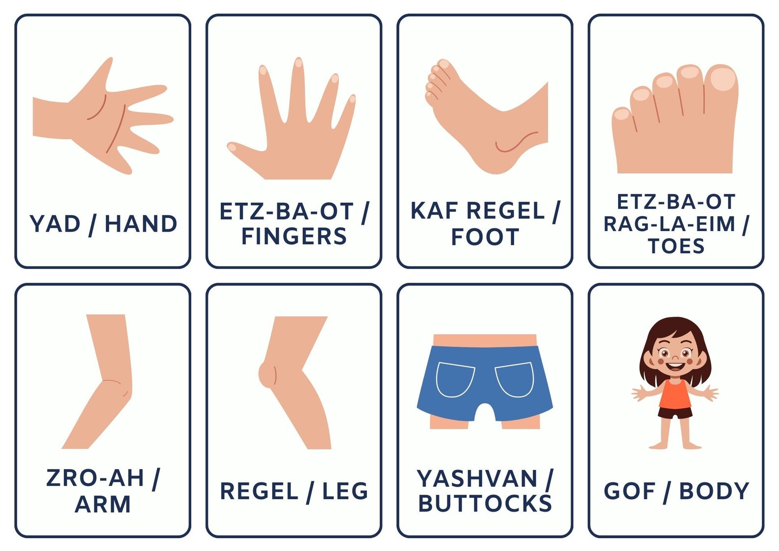 Body Parts in Hebrew Printable Flash Cards - Etsy