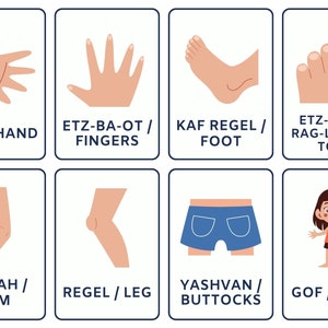 Body Parts in Hebrew Printable Flash Cards - Etsy
