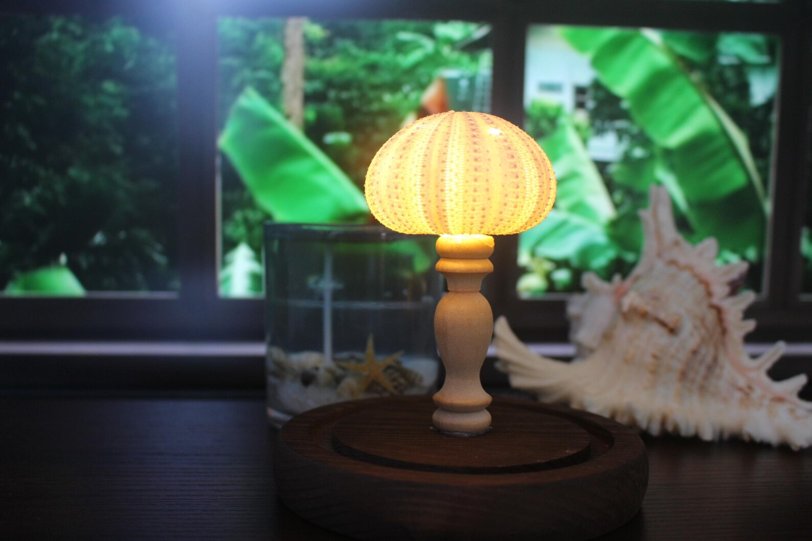Vintage Handmade Sea Urchin Lamp - Ocean Style Table Lamp, Natural Sea ...