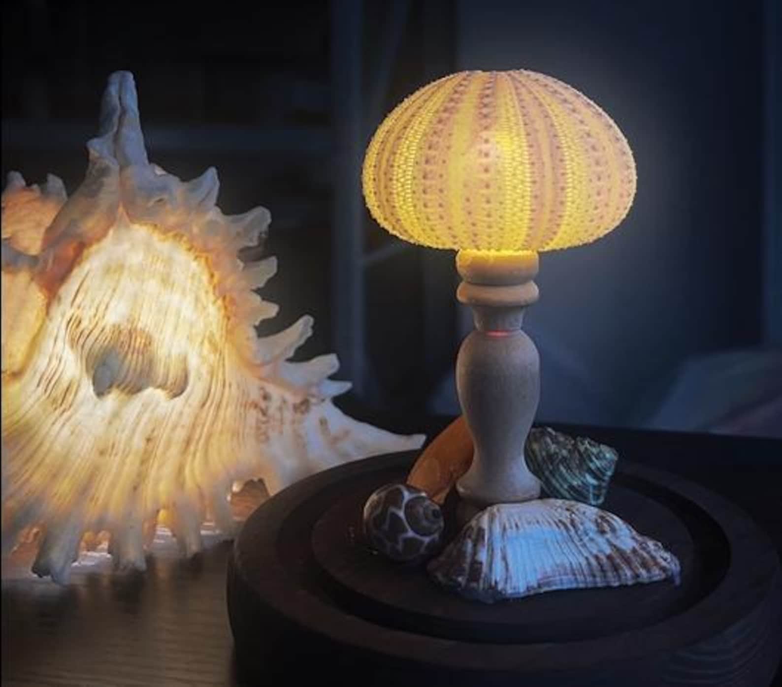 Vintage Handmade Sea Urchin Lamp - Ocean Style Table Lamp, Natural Sea ...