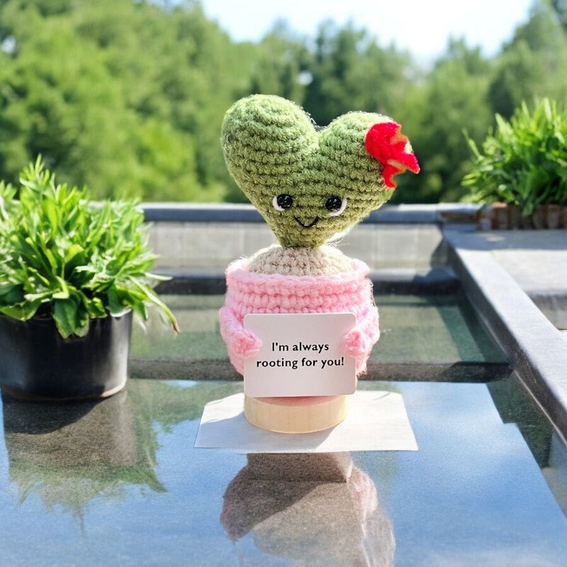 Handmade Cute Crochet Cactus/succulent Plant,emotional Support Cactus ...