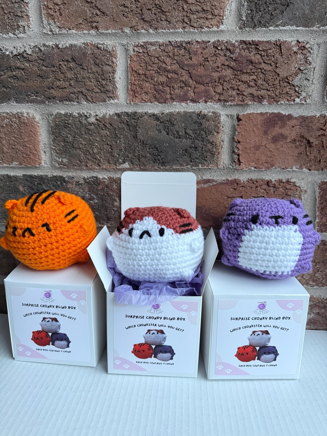 Crochet Surprise Chonky Blind Box | Crochet Chubby Cat Blind Box - Etsy