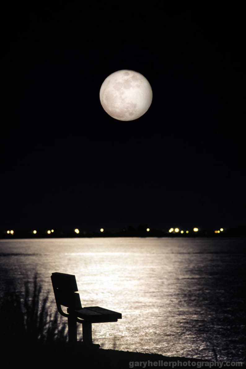 And No One Was There, Empty Bench, Full Moon Over the Bay, Film ...