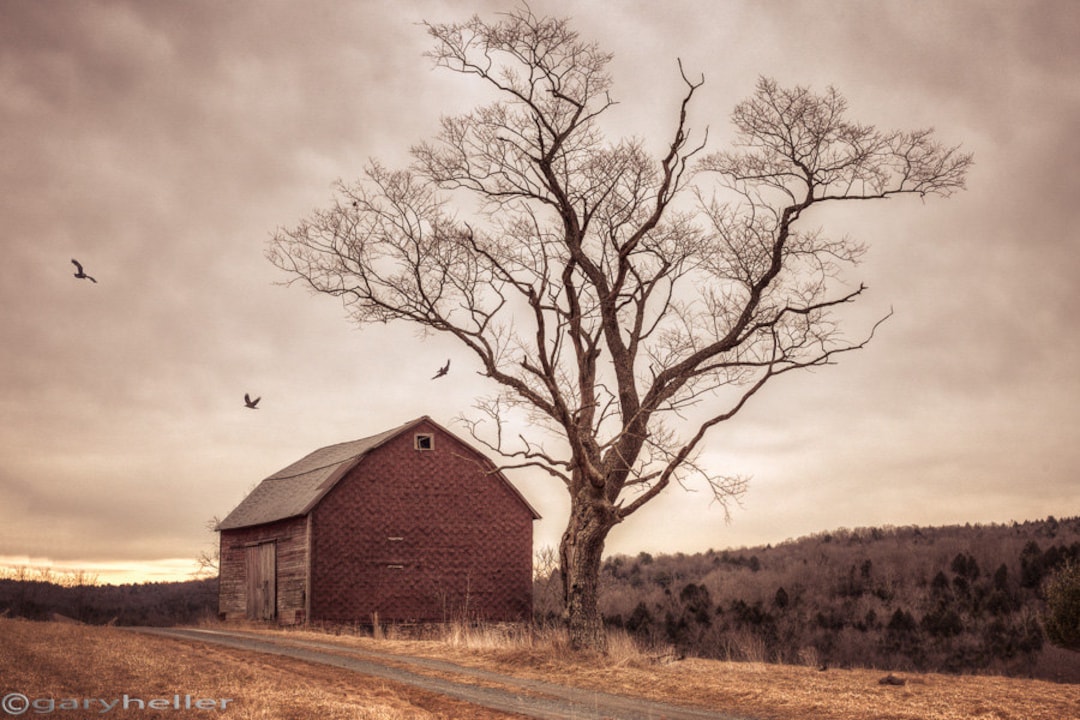 Autumn Barn and Tree, Old Barn Landscape, Surreal Farm and Barn Scene ...