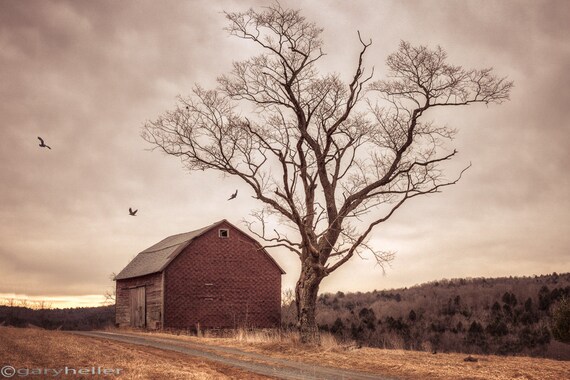 Autumn Barn Scenes