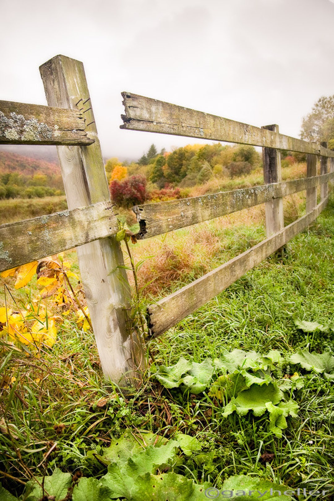 Broken Fence, Rustic, Autumn Landscape, Color Photograph, Free Shipping ...