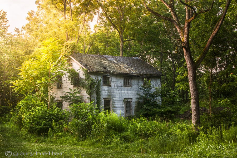 Old Houses In The Forest