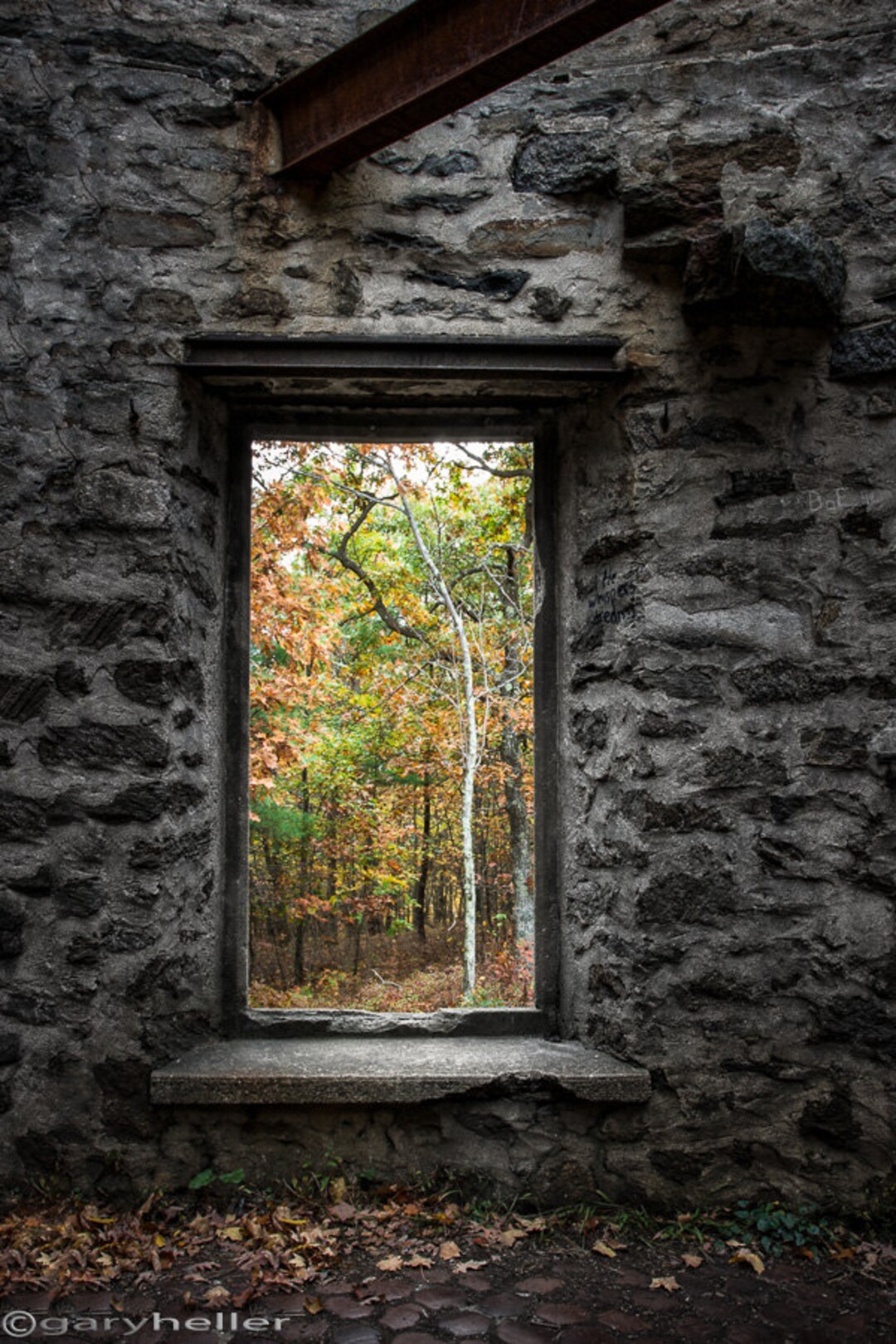 Autumn Within Cunningham Tower, Looking Out of the Ruins, Autumn Color ...