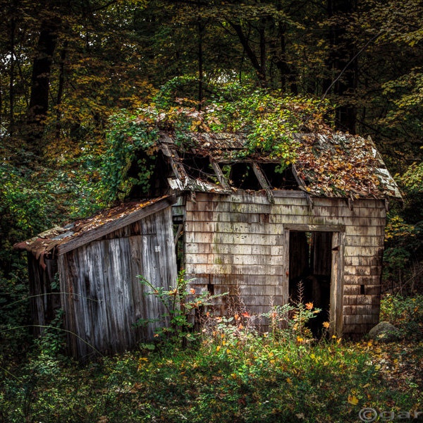 Shack in the Woods - Etsy