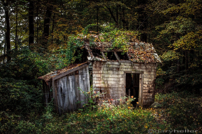 Rustic Old Abandoned Shack in the Woods During the Autumn Season ...