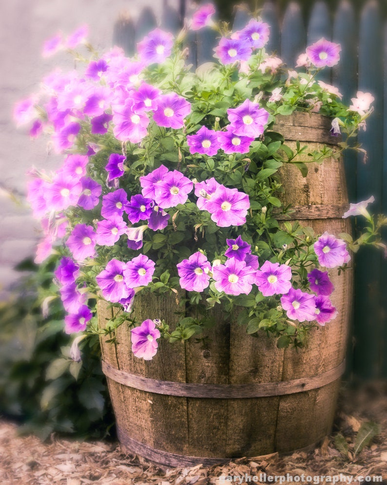 Barrel of Flowers, Foral Arrangement, Dreamy, Beautiful, Lavendar, Pink ...