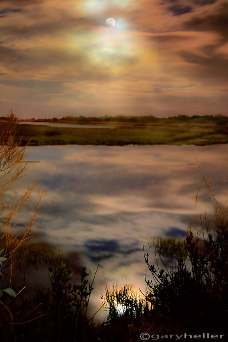Moonlight Over Marsh, Dreamy Landscape, Color Photography, Mystical ...