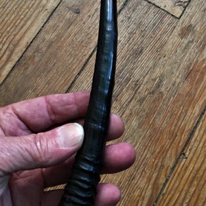 Custom Female Springbok Horn Beer Tap Handle on Etsy Moose Kegerator ...