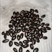 Soursop Seeds - Etsy