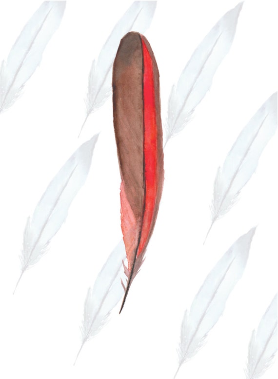 Cardinal Feather Drawing