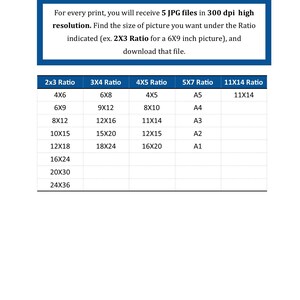 Forbidden Garden V3 Digital Print Vintage Dark Art - Etsy