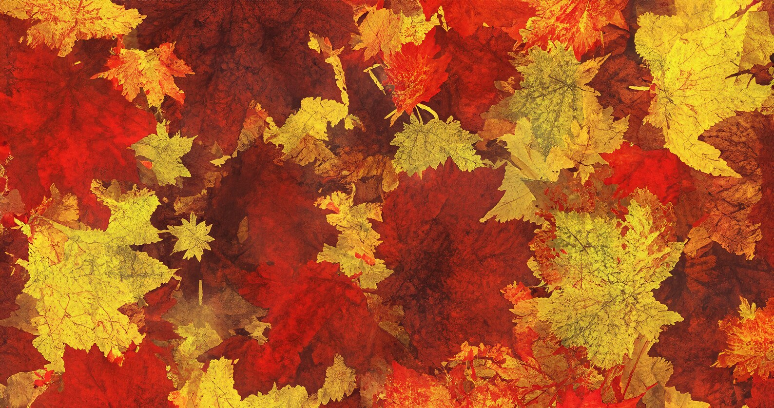 4K Wallpaper - Automn 1 - Etsy
