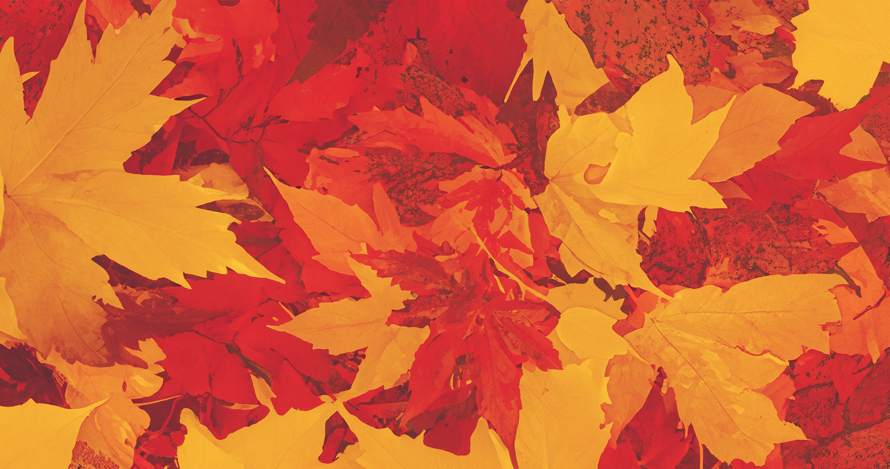 4K Wallpaper - Automn 3 - Etsy