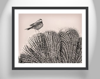 Wren Art Print - Etsy