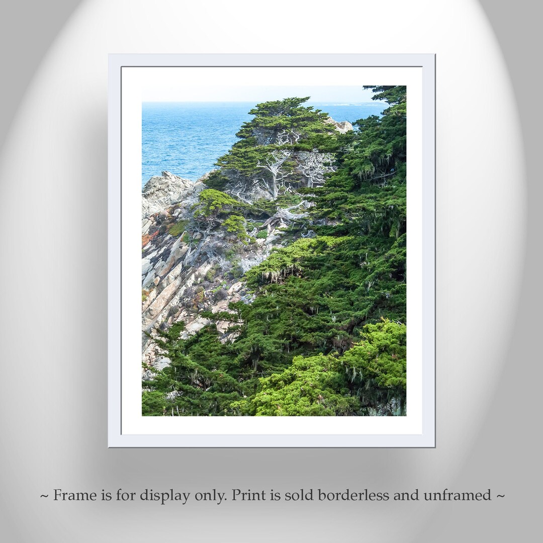 Point Lobos Carmel by the Sea Monterey Cypress Photography Print - Etsy