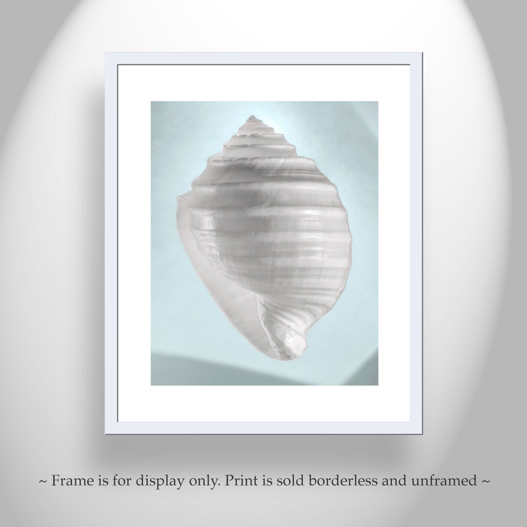 Blue Seashell Print as Pastel Wall Decor for Home or Bath - Etsy