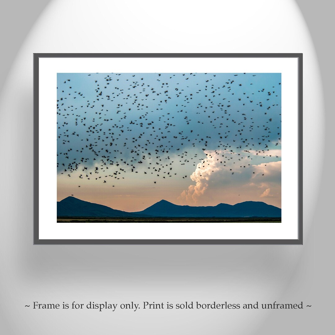 Flying Bird Print in Wetlands Landscape - Etsy