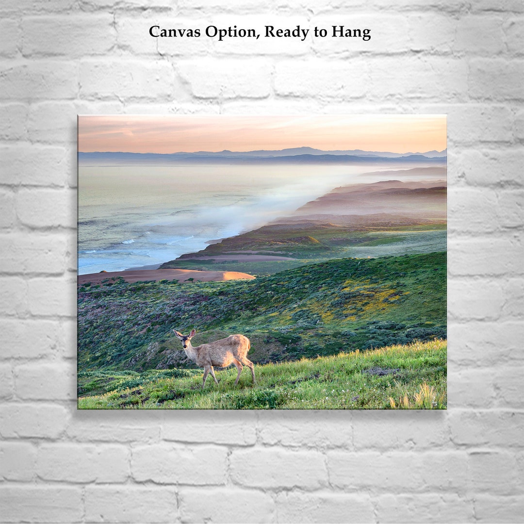 Ocean Photography With Point Reyes California Seascape and - Etsy