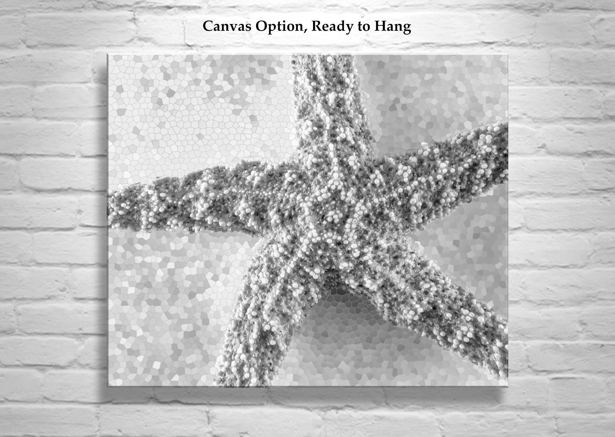 Black and White Photograph of Starfish as Bath Decor Ocean Inspired Art ...