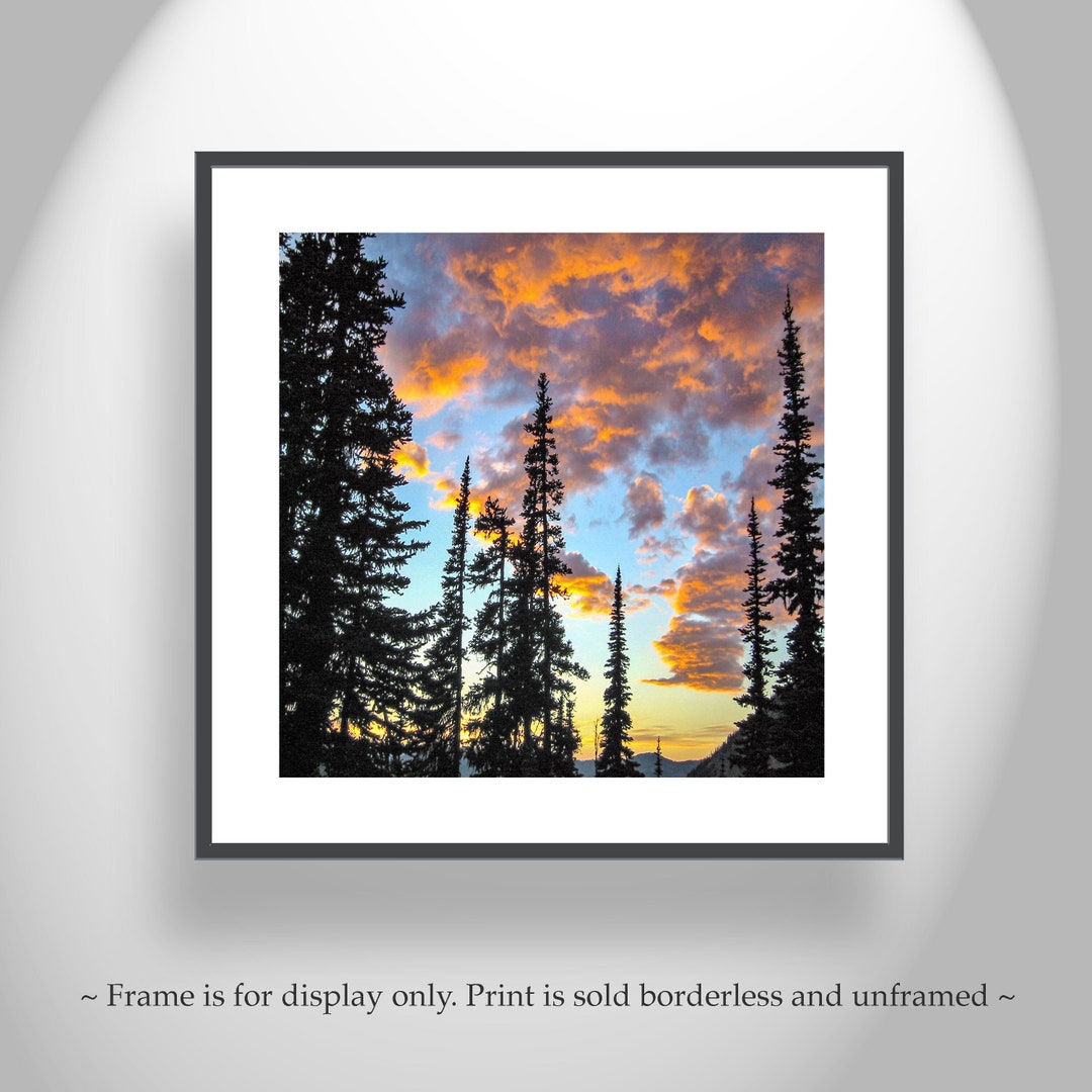 Pacific Northwest Forest Photography in North Cascades Mountains With ...