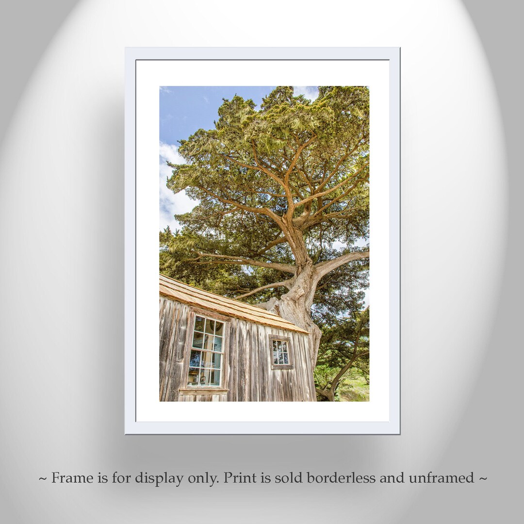 Monterey Coast Point Lobos Art Print With Whaler's Cabin at Carmel by ...