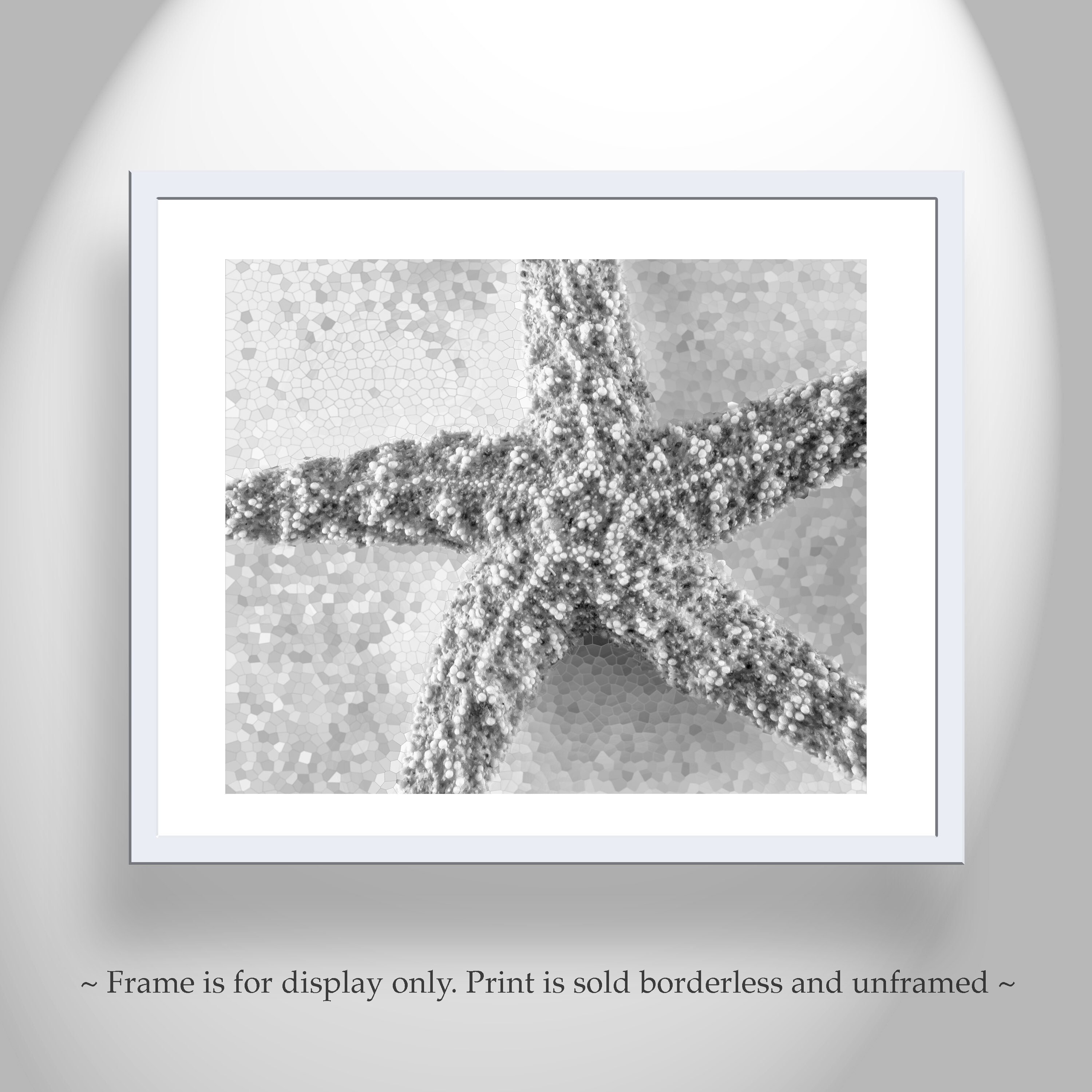 Black and White Photograph of Starfish as Bath Decor Ocean Inspired Art ...
