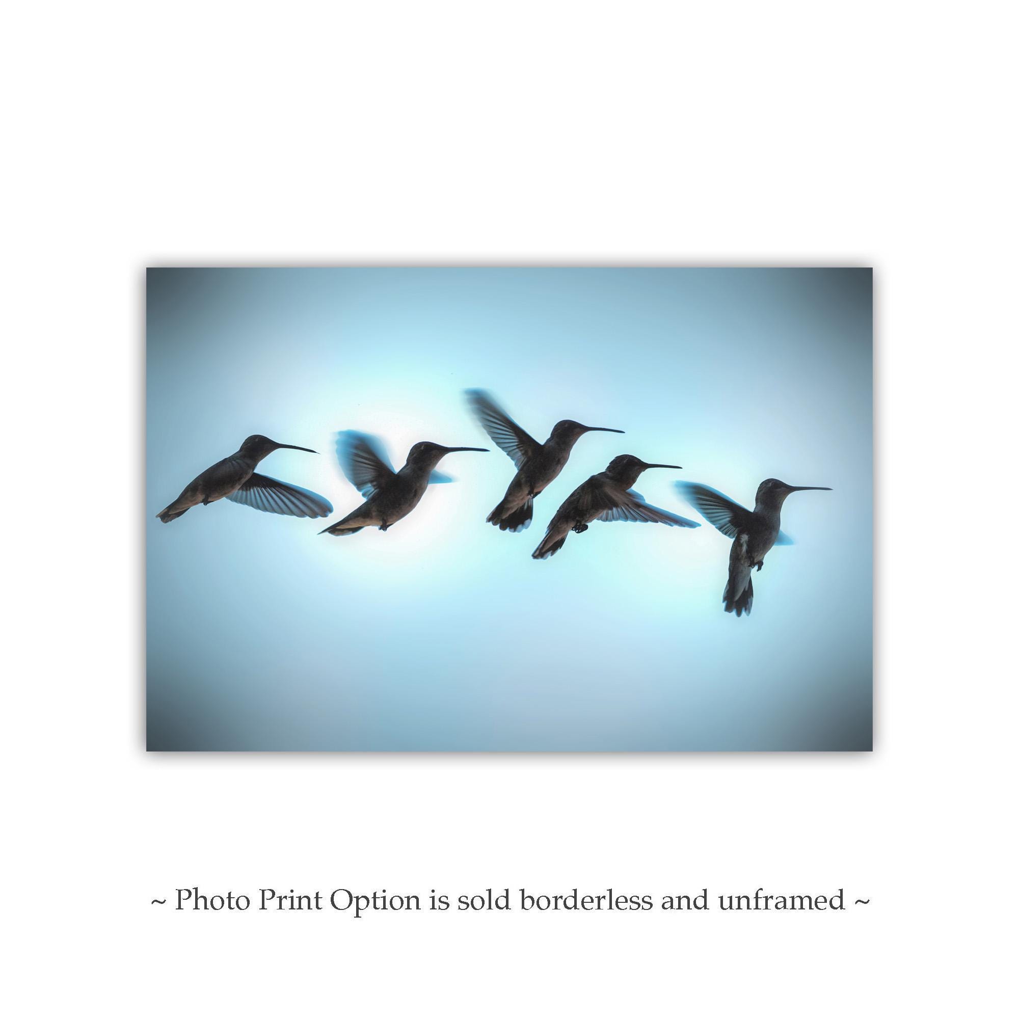 Bird Wall Decor With Hummingbird in Flight | Flying Bird Art ...