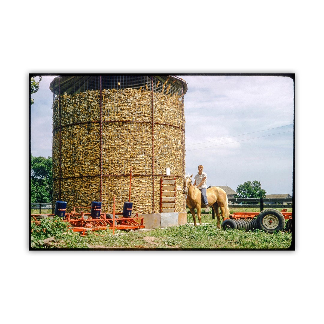 Vintage Farm Photograph of Iowa Heartlands Midwestern Rural Scene ...