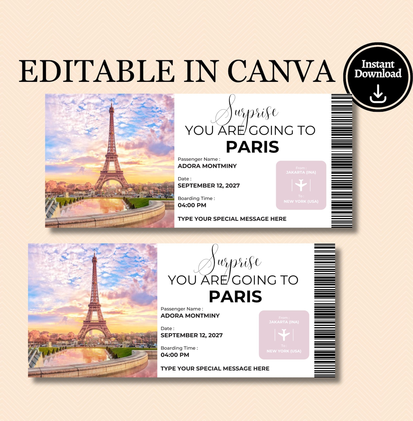 Editable Paris Boarding Pass Template, Paris Ticket Template, Printable ...