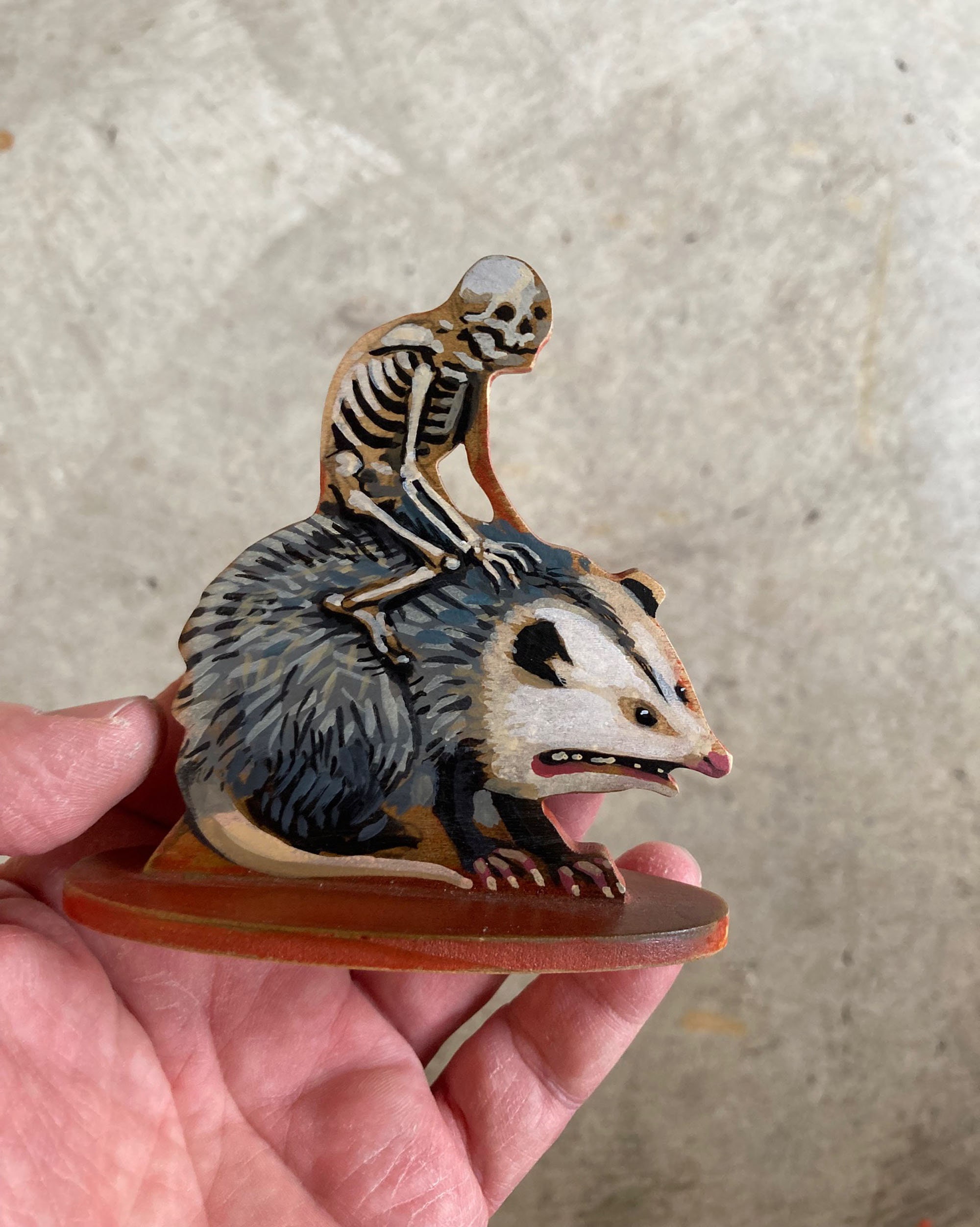 Opossum Skeleton