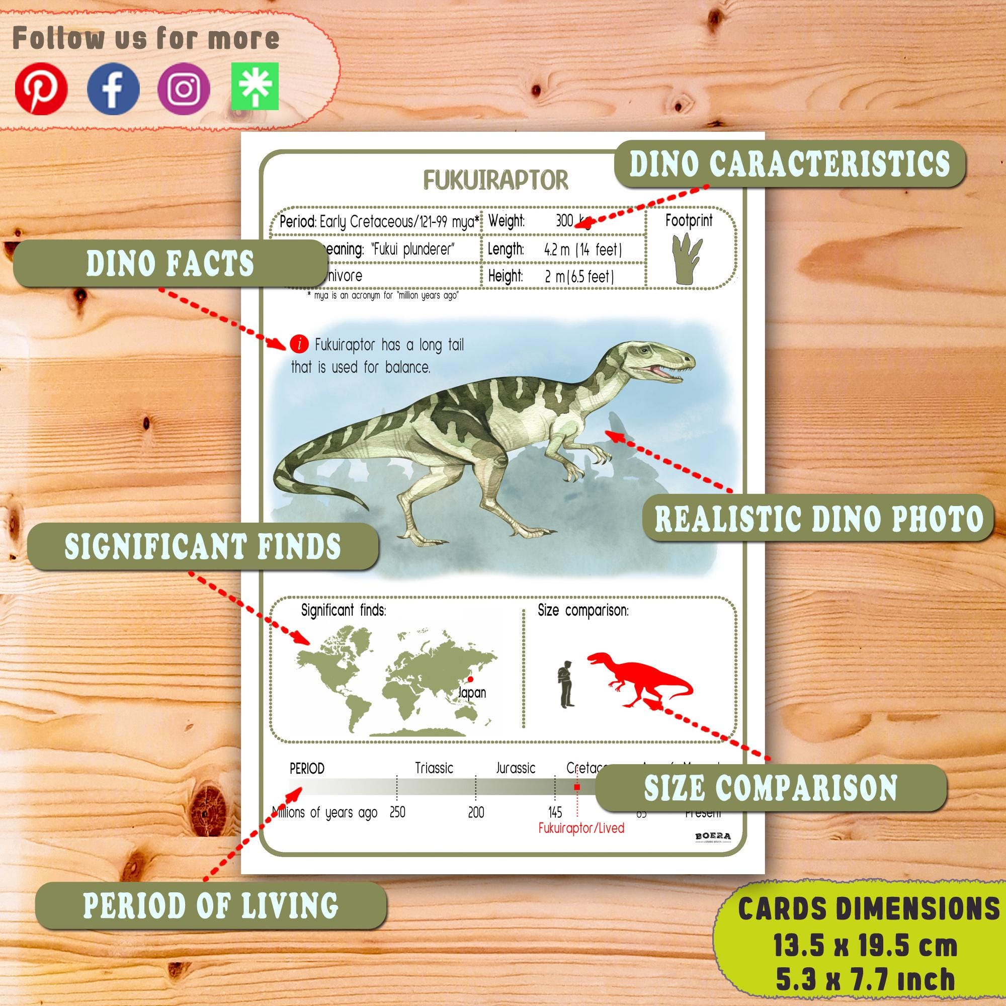 Dinosaurs Fact Cards Printable, Educational Learning Resources ...