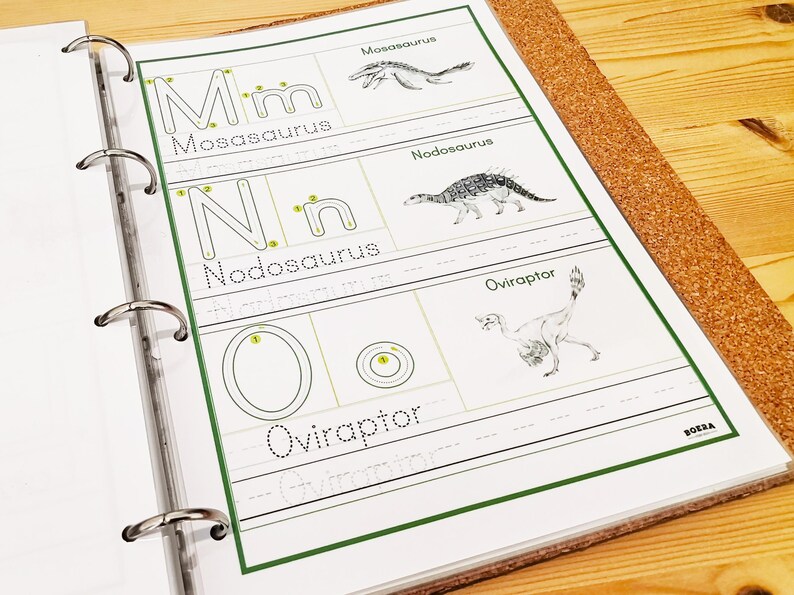 Dinosaurs Busy Book: Preschool Learning Activities (PDF) - Etsy Australia