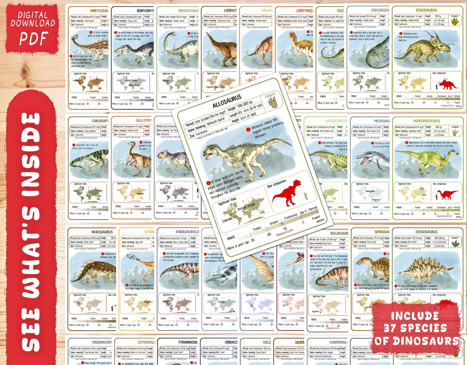 Dinosaur Fact Cards Printable, Educational Learning Resources ...