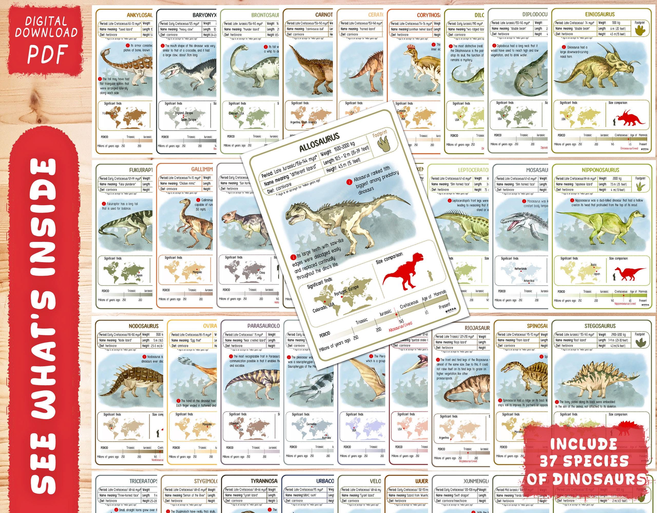 Dinosaur Fact Cards Printable, Educational Learning Resources ...