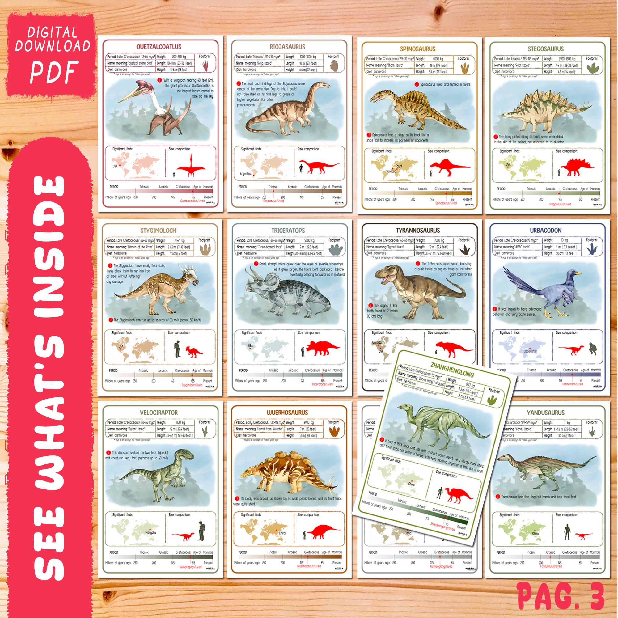 Dinosaurs Fact Cards Printable, Educational Learning Resources ...